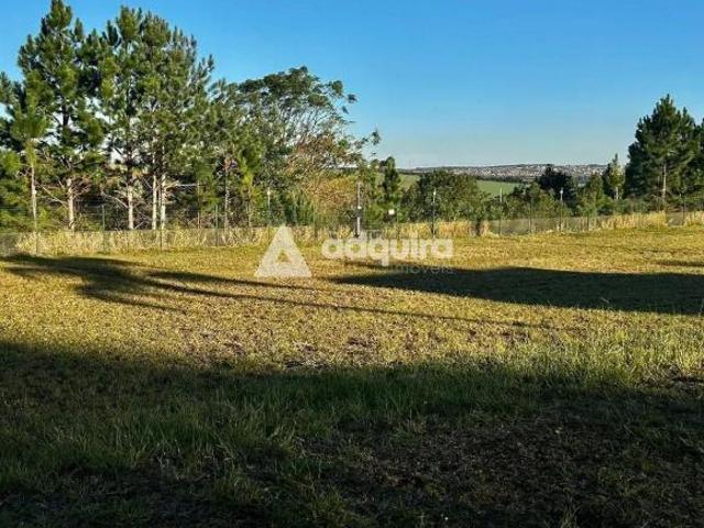 Terreno à venda no Condomínio Terras Alphaville com 617,50m², no Jardim Carvalho, Ponta Grossa, PR