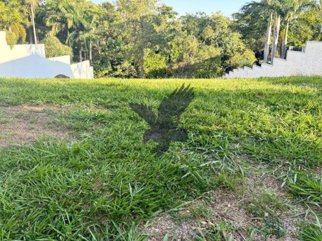 Terreno a venda no condomínio Alphaville Campinas 1.650 M2 fundo para mata nativ