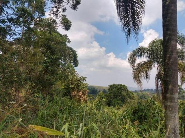 TERRENO A VENDA NO CONDOMINIO ECOVILLE KM 46 DA CASTELO