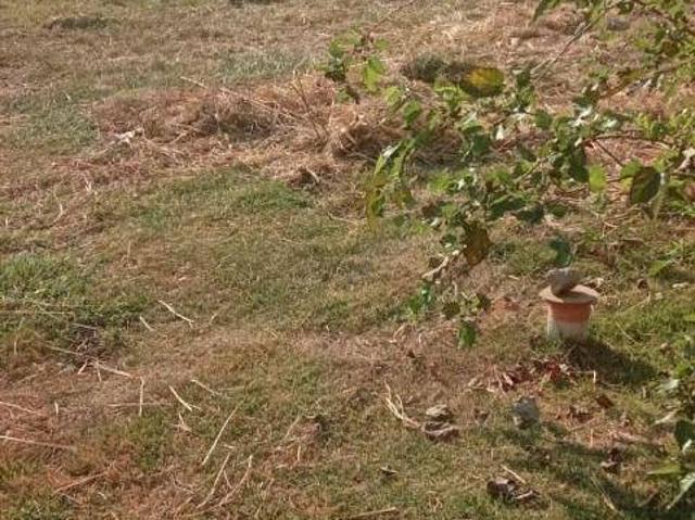 Terreno à venda no Condomínio La Dolce Vita – Paulínia/SP
