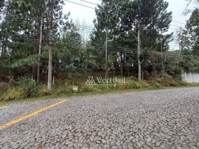 Terreno a venda no condominio Paisagem Renoir III Granja Viana