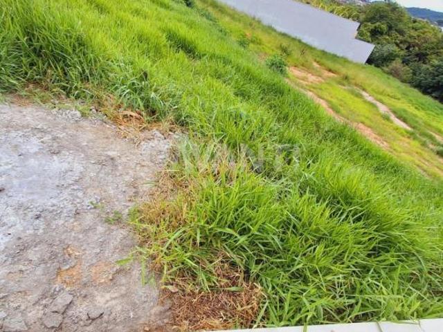 Terreno à venda no Condomínio Recanto das Palmas em Vinhedo na Davanti Imóveis