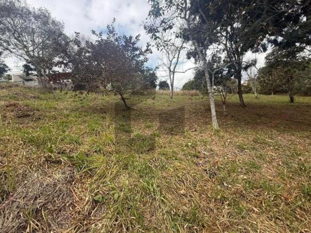 Terreno à Venda no Condomínio Reserva Ibirapitanga Santa Isabel/Sp| 800M² | Condomínio de Alto Padr