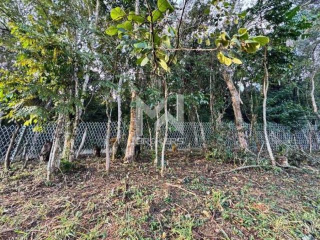 Terreno à venda no Condomínio Reserva Santa Isabel em Louveira SP