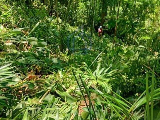 TERRENO À VENDA NO CAMARÃO EM ILHABELA SP