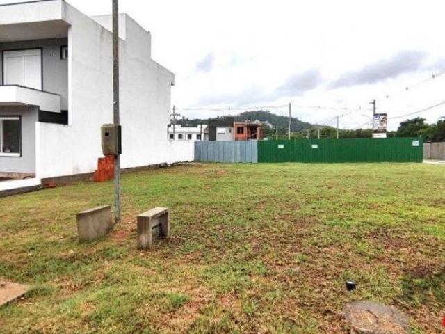 Terreno à venda No Campo Novo