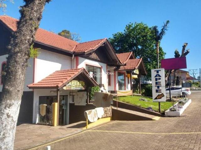 Terreno a venda no centro de Nova Petrópolis