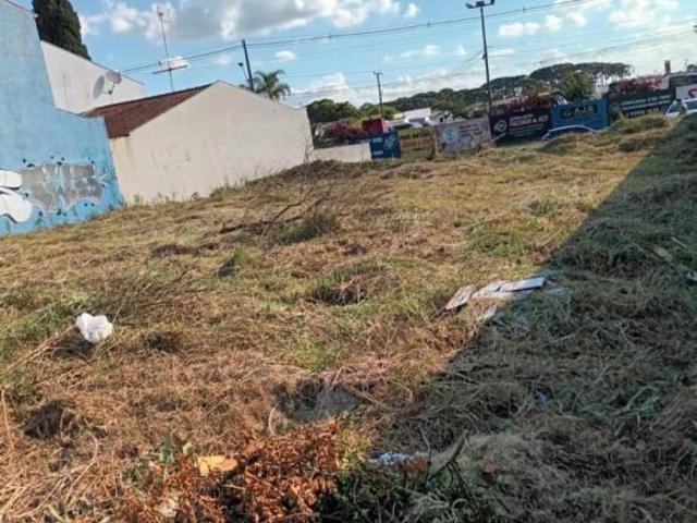 Terreno a venda no Centro de Fazenda Rio Grande