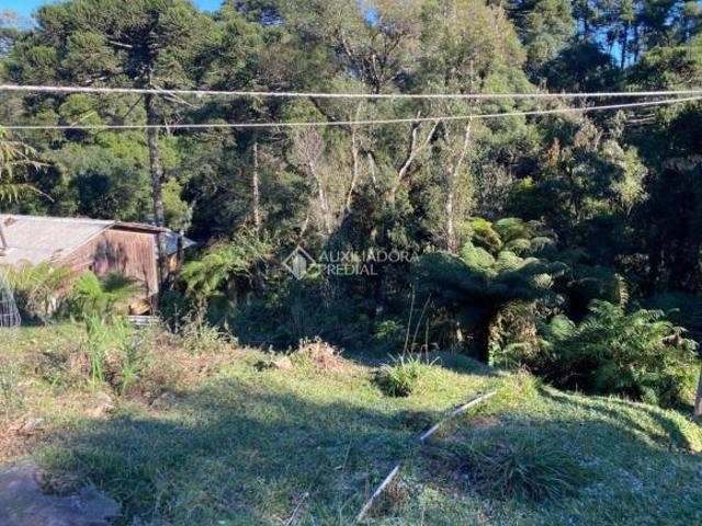 Terreno a venda no centro de São Francisco de Paula