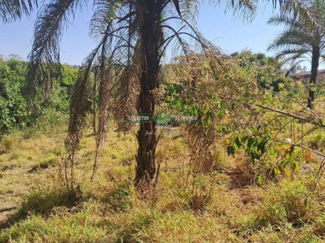 Terreno à venda no Centro
