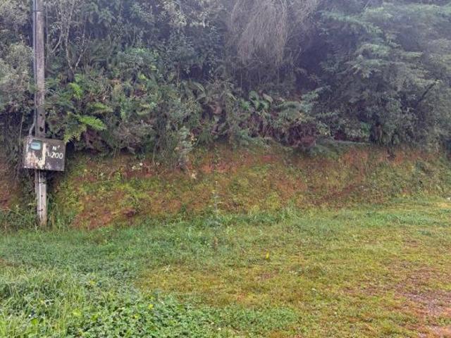 Terreno à venda no Centro