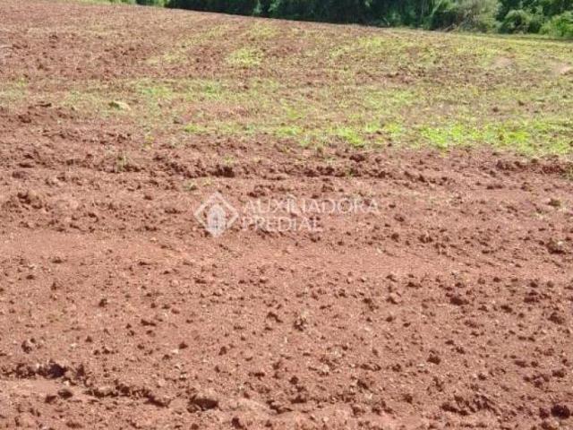 Terreno à venda no Centro