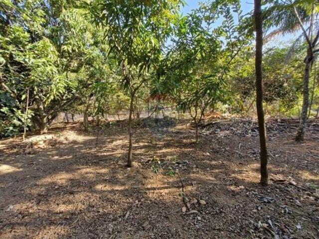 Terreno à venda no Chácaras de Recreio Floresta em Jaguariúna SP por R$ 199.000,00