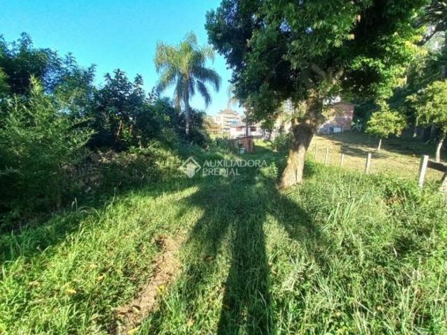 Terreno à venda em Caxias do Sul