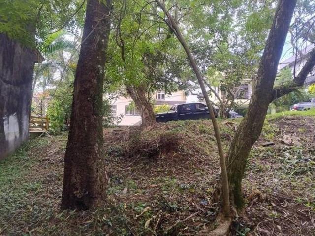 Terreno a venda no Aruã Mogi das Cruzes | Plano | Vista para reserva