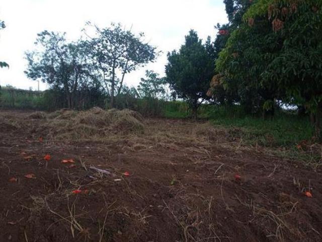 Terreno à venda no Bom Jardim