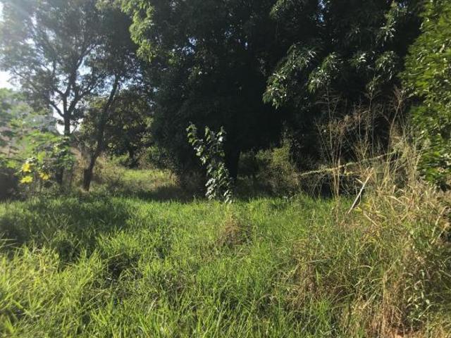 Terreno à venda no Bom Jesus