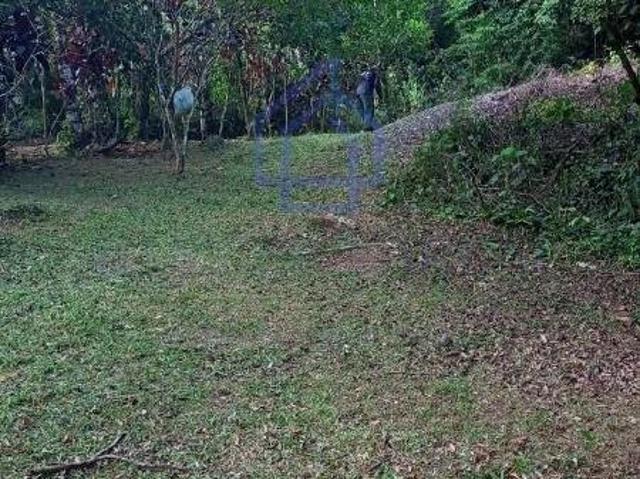 TERRENO À VENDA NO BONETE EM ILHABELA SP