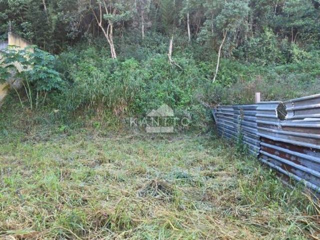 TERRENO A VENDA NO BOSQUE DOS PINHEIROS SITUADO NA PRINCIPAL AVENIDA DO BAIRRO