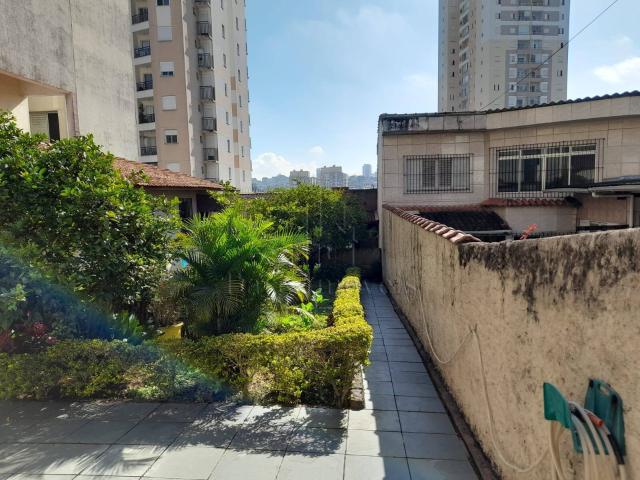 Terreno a venda no Baeta Neves São Bernardo do Campo 2 Dorms