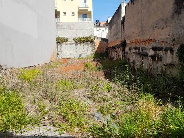 Terreno a venda no Baeta Neves São Bernardo do Campo 2 Dorms