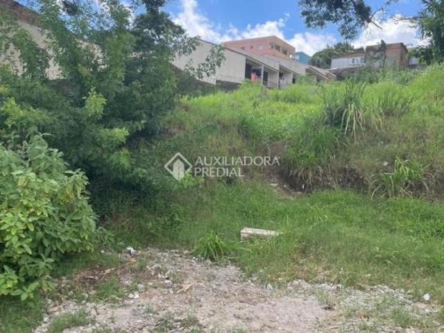 Terreno a venda no bairro Medianeira
