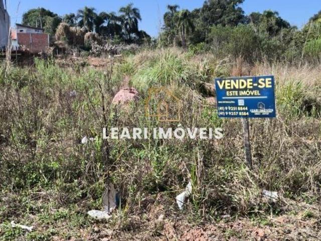 Terreno à venda no bairro Nações Fazenda Rio Grande/PR