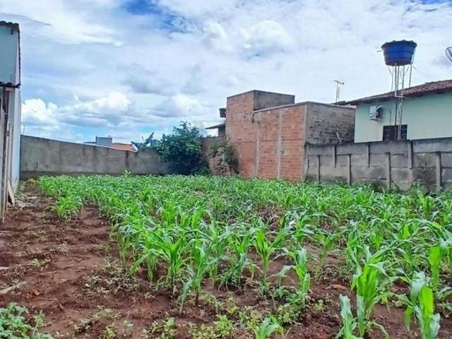 Terreno à venda no bairro Negrinho Carrilho Goianésia/GO