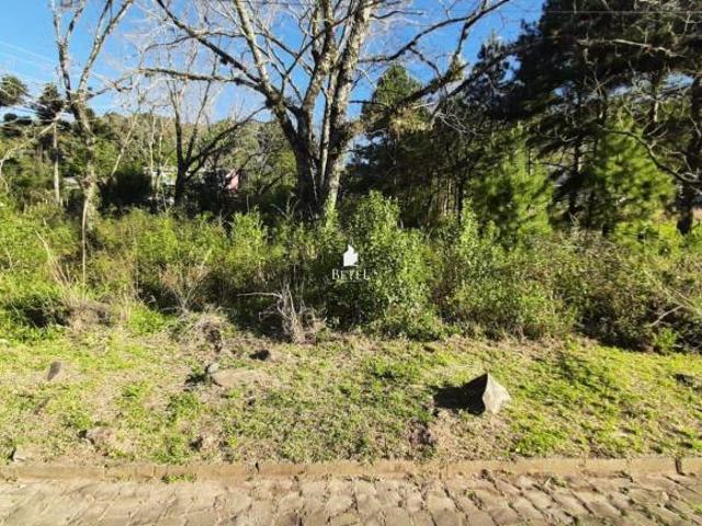 Terreno à venda no bairro Nossa Senhora da Saúde Caxias do Sul/RS