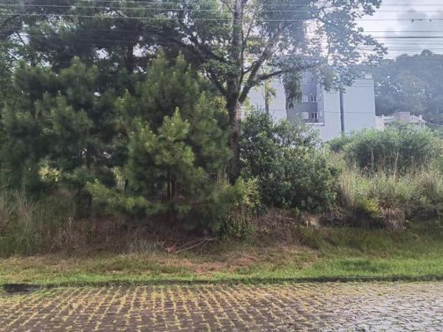 Terreno à venda no bairro Nossa Senhora da Saúde