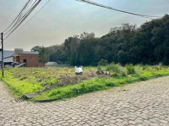 Terreno à venda no bairro Nossa Senhora das Graças