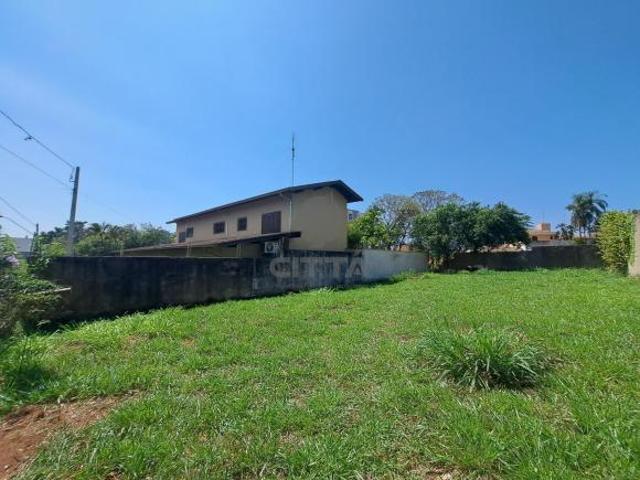 Terreno a venda no bairro Nova Campinas, Campinas/SP