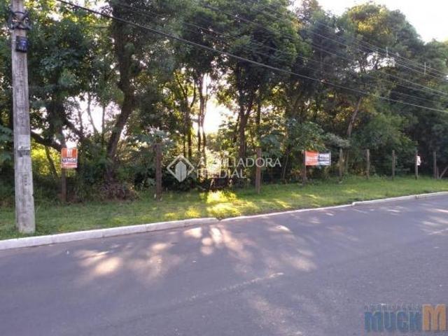 Terreno à Venda no bairro Olaria com 3008m²