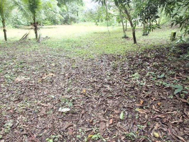 Terreno à venda no bairro Abadia em Louveira na Davanti Imóveis