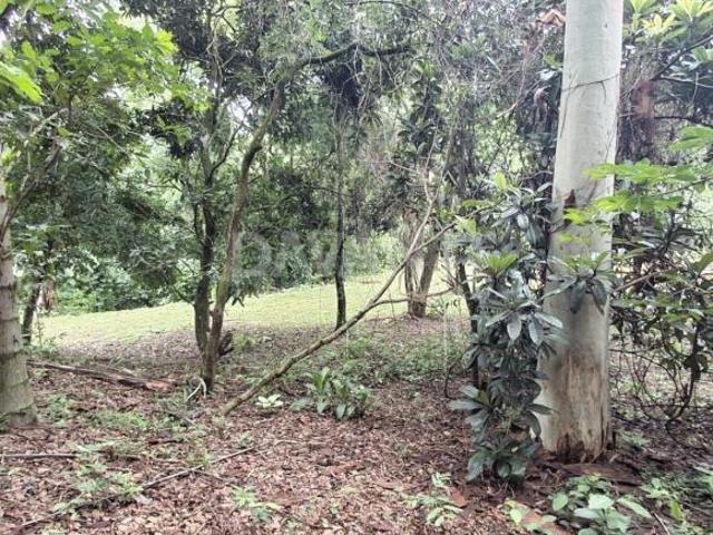 Terreno à venda no bairro Abadia em Louveira na Davanti Imóveis