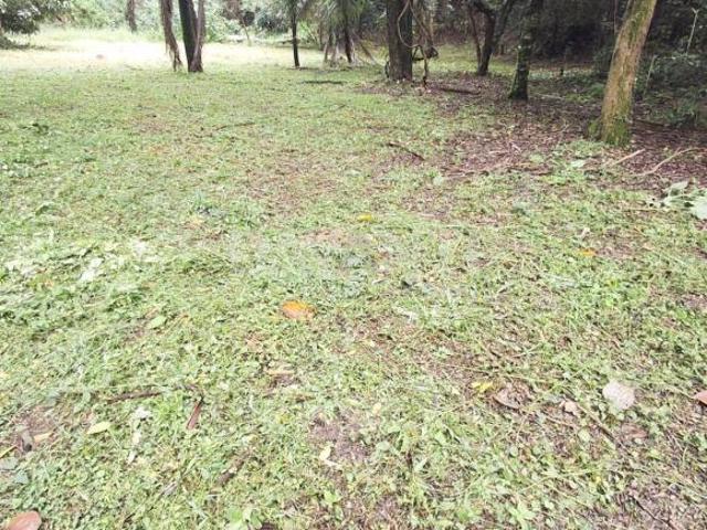 Terreno à venda no bairro Abadia em Louveira na Davanti Imóveis