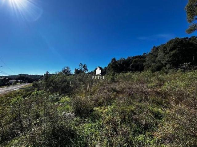 Terreno à venda no bairro Ana Rech Caxias do Sul/RS