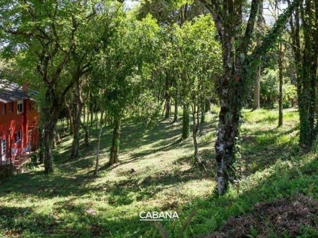 TE507 Terreno à venda no bairro Ana Rech