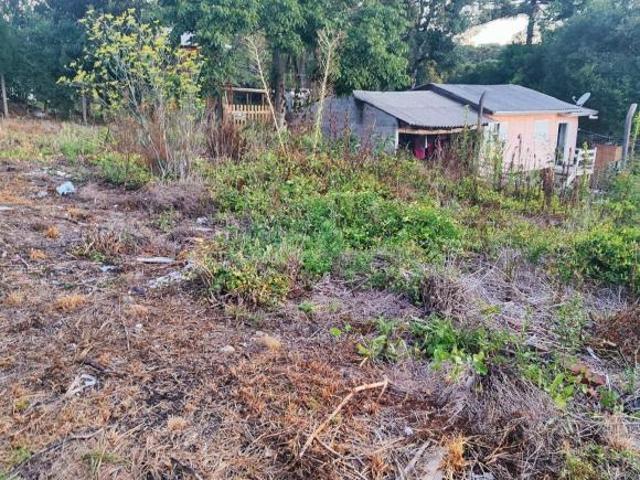Terreno à venda no bairro Ana Rech