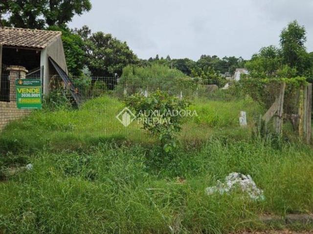 Terreno à venda no bairro Campo Novo