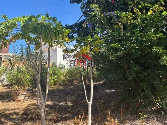 Terreno à venda no bairro Castelo em Belo Horizonte/MG