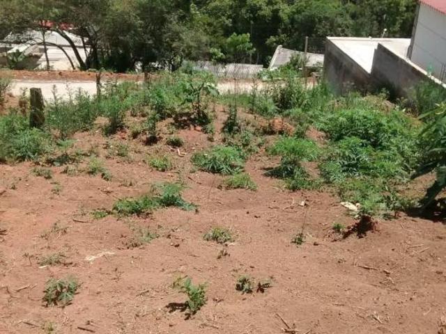 Terreno à venda no bairro Centro Caucaia do Alto Cotia/SP