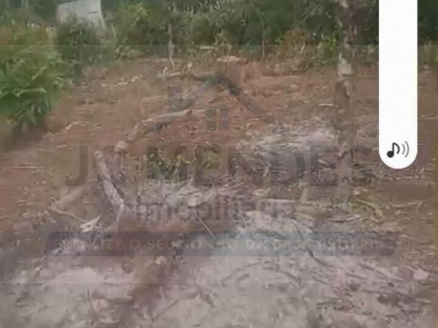 Terreno à venda no bairro Centro Pontal do Paraná/PR