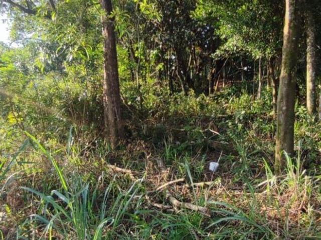 Terreno à venda no bairro Chácara das Garças Santana de Parnaíba/SP