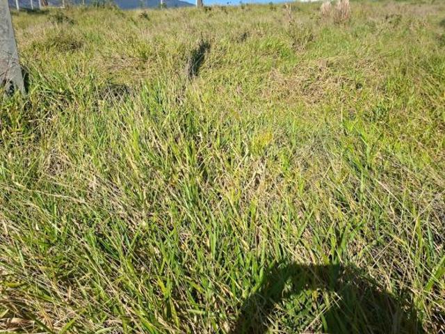 Terreno à venda no bairro Consulte Extrema/MG