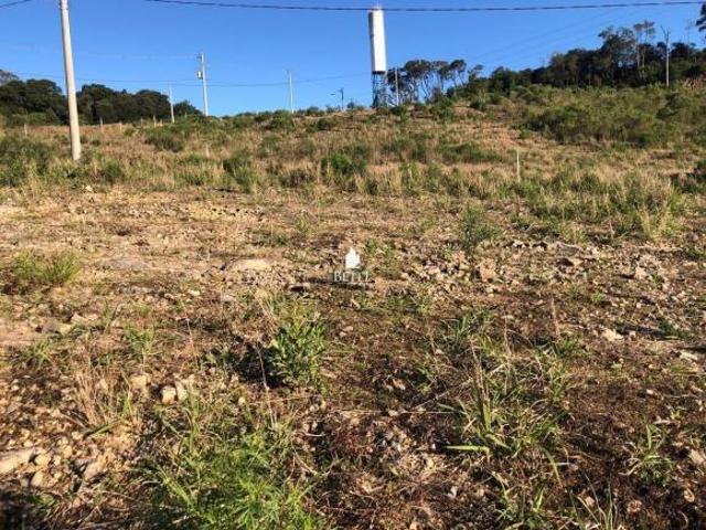 Terreno à venda no bairro De Zorzi Caxias do Sul/RS