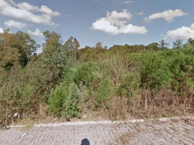 Terreno à venda no bairro Desvio Rizzo