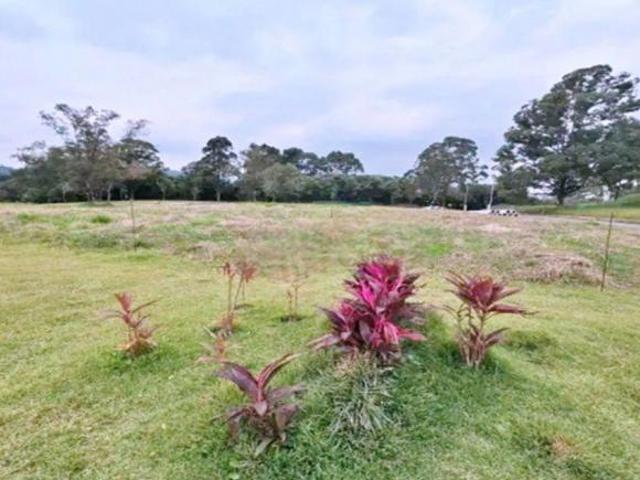 Terreno à venda no Bairro do Jardim Regina na Rua Canela Guaicá