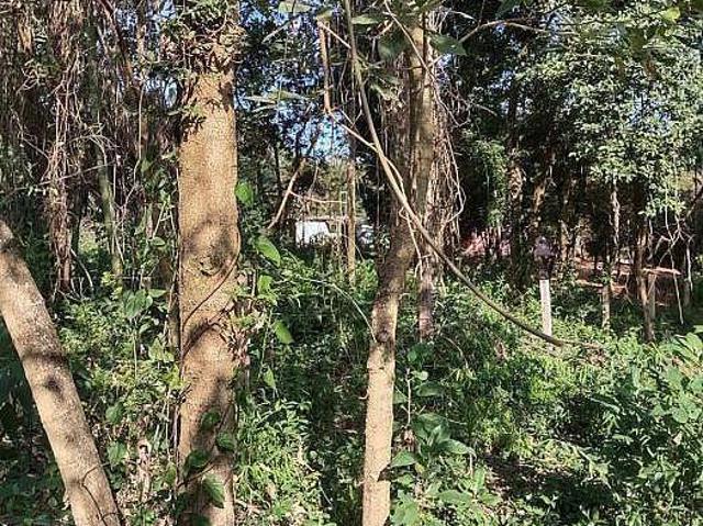 Terreno à Venda no Bairro do Pinhal em Cabreúva SP