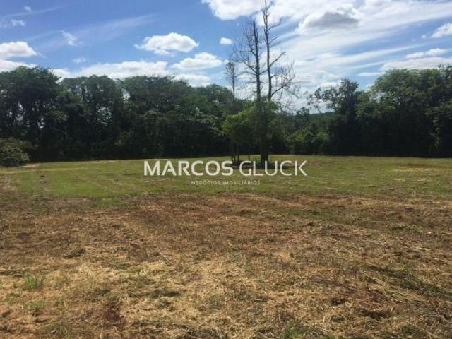 Terreno à venda no bairro Espírito Santo Londrina/PR, Sul